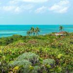 Isla Contoy Eco Adventure - Authentic Insights from Reviewers