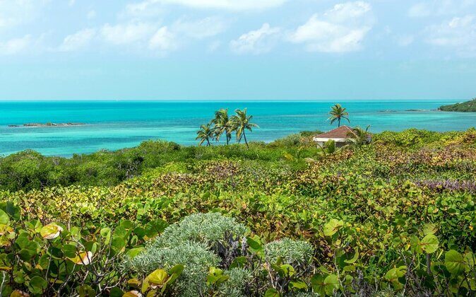 Isla Contoy Eco Adventure - Authentic Insights from Reviewers