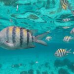 Isla Mujeres Snorkeling Adventure at the Underwater Museum - Detailed Breakdown of the Itinerary