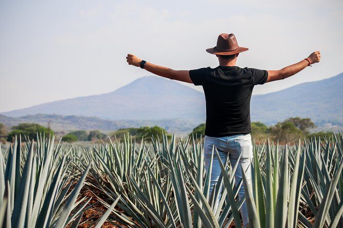 José Cuervo Tequila Day Experience from Guadalajara - FAQ
