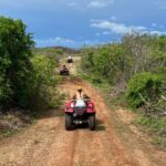 Jungle and beach ATV tour + lunch + tequila tasting - Price and Value: Is It Worth It?