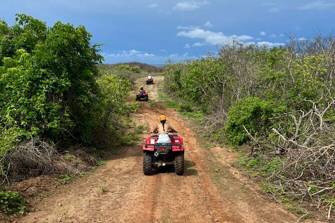 Jungle and beach ATV tour + lunch + tequila tasting - Price and Value: Is It Worth It?