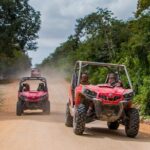 Jungle Buggy Tour from Playa del Carmen Including Cenote Swim - The Value Proposition: Is It Worth It?
