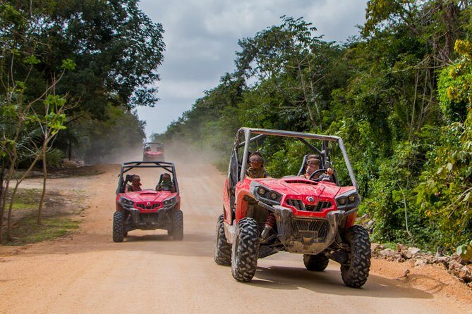Jungle Buggy Tour from Playa del Carmen Including Cenote Swim - The Value Proposition: Is It Worth It?