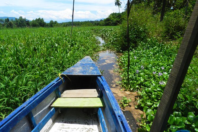 Jungle Coyuca Lagoon Boat Ride Experience & Baby Turtle Release - What Could Be Better?