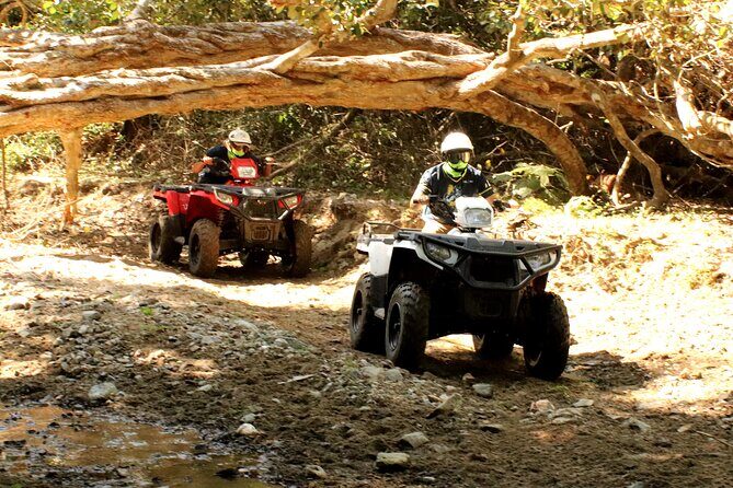 Jungle Single ATV Tour "El Mirador" - FAQs