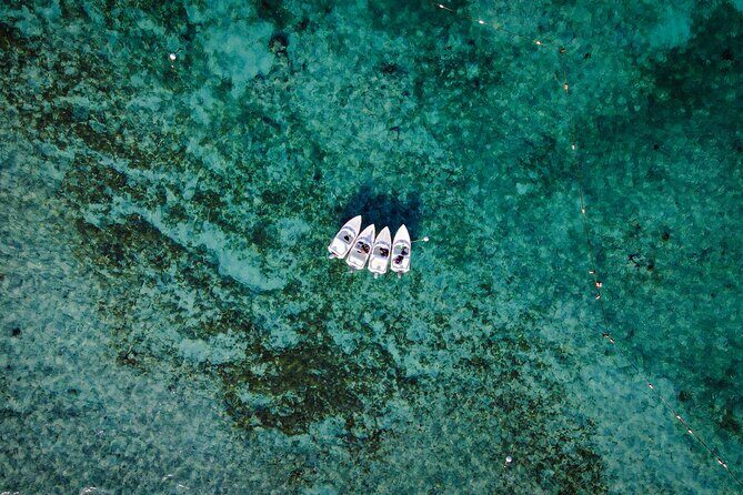 Jungle Tour & Snorkel at Punta Nizuc Reef , Underwater museum - The Experience of the Guides and Crew