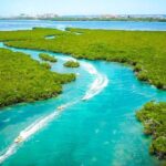 Jungle Tour with Snorkel in Cancun - What Travelers Love Most