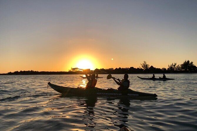 Kayak Mangroves Sunrise Experience - Final verdict
