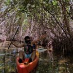Kayak TOUR POR Laguna Nichupte Cancun - The Sum Up