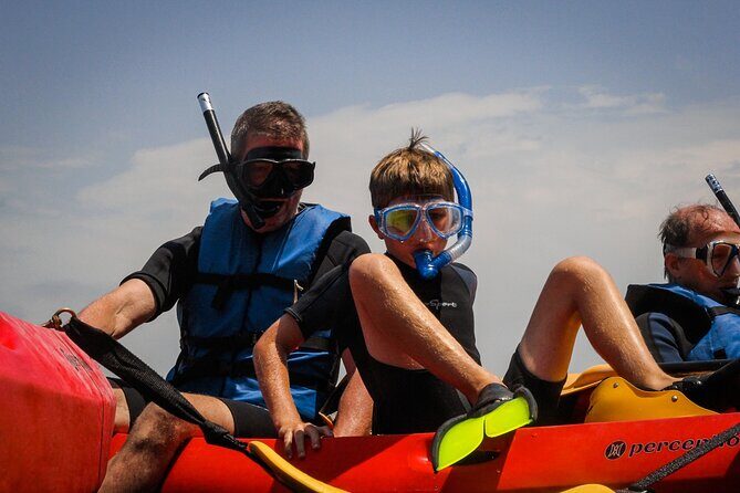 La Jolla Kayak and Snorkel Tour - What to Expect from the Tour