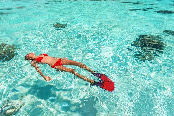 La Paz World class Snorkeling in Balandras Hidden Beaches - Transportation and Duration