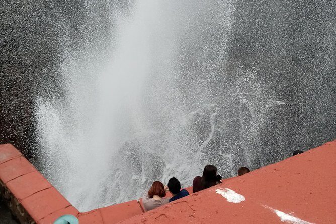 Las Canadas Ecopark and Bufadora private tour - Authentic Experiences and Insider Tips