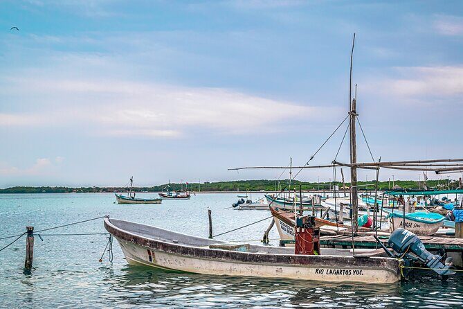 Las Coloradas Pink Lake & Rio Lagartos Guided Tour - What You Can Expect from the Tour