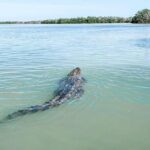 Las Coloradas & Río Lagartos with boat & Lunch from Mérida - Authentic Experiences & Traveler Insights