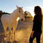 Leadership & Mindfulness Retreat with Horses - Individual & Group - Authentic Insights from Reviewers