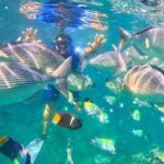 Los Arcos 5 islands Snorkeling Cliff Jumping and Hidden Beach - Authenticity and Local Knowledge