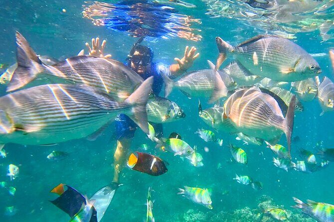 Los Arcos 5 islands Snorkeling Cliff Jumping and Hidden Beach - Authenticity and Local Knowledge