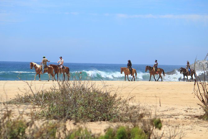 Los Cabos ATV and Pacific Horseback Riding Combo Tour - Practical Details and What You Should Know