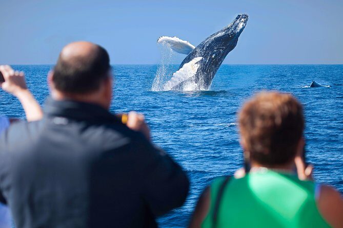 Los Cabos Whale Watching Cruise Including Breakfast - The Stops and What You’ll Experience