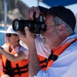 Los Cabos Whale Watching (Transportation and Pictures Included) - Final Thoughts