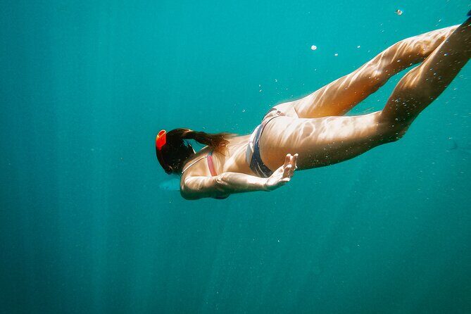 Luxury Snorkel Adventure in Cabo - Considerations Before Booking