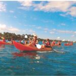 Makena Turtle Town Eco Adventure in Maui - Analyzing the Value: Is It Worth It?