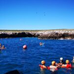 Marietas Islands Snorkel Tour & Hidden Beach - Arrival at the Islands: What to Expect