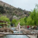 Marrakech: Ourika Valley, Atlas Mountains, Waterfall Hike & Lunch - Is This Tour Worth It?