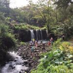 Maui Tour : Road to Hana Day Trip from Lahaina with Pick-up - Final Thoughts