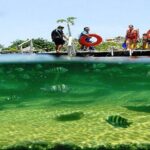 Mayan Adventure from Cancun - Authentic Experiences from Real Travelers