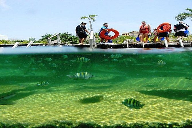 Mayan Adventure from Cancun - Authentic Experiences from Real Travelers