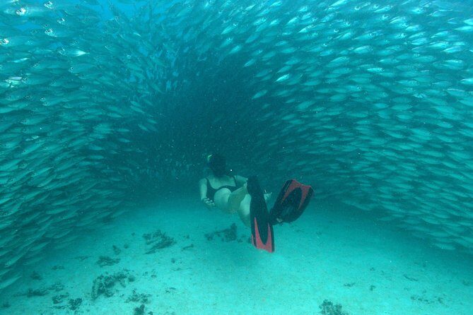 Mayan Adventure from Playa del Carmen - The Authentic Experience: What Travelers Love