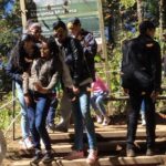 Monarch Butterfly Private Tour (Morelia) - What’s Included and What’s Not?