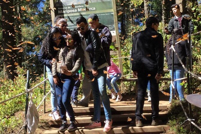Monarch Butterfly Private Tour (Morelia) - What’s Included and What’s Not?