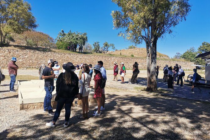 Monte Alban - Full Day Guided Tour with or without Food - Oaxaca - FAQ