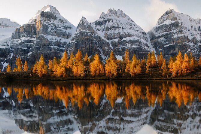 Moraine Lake & Lake Louise Sunset & Wildlife Adventure - Who Is This Tour Best For?