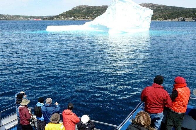 Newfoundland Puffin and Whale Watch Cruise - Final Thoughts