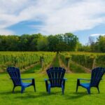 Niagara Falls Day Tour from Toronto (9 Hours) - What to Expect from the Experience