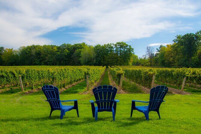 Niagara Falls Day Tour from Toronto (9 Hours) - What to Expect from the Experience