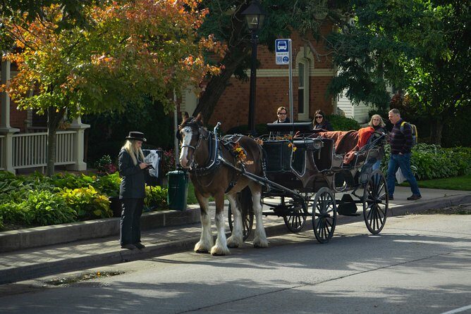 Niagara Falls One Day Sightseeing Tour from Toronto - Transportation and Logistics