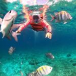 Official Chankanaab Beach Park Day pass with Lunch included - Is It Worth the Price?