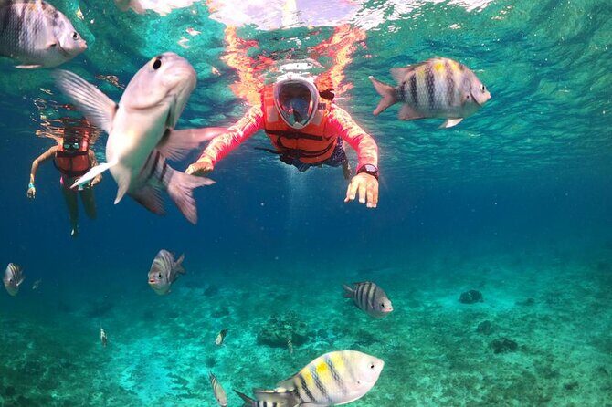 Official Chankanaab Beach Park Day pass with Lunch included - Is It Worth the Price?