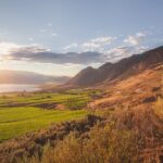 Osoyoos Half Day Wine Tour (Incl. Tasting Fees & Guide Gratuity!) - Whats Included and What to Keep in Mind