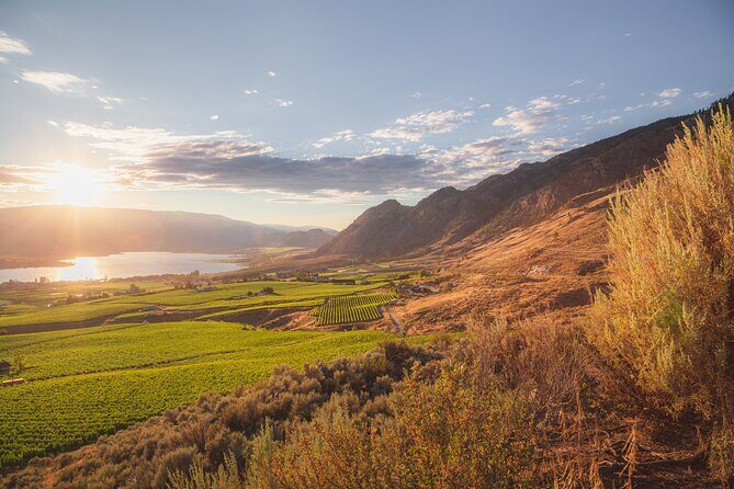 Osoyoos Half Day Wine Tour (Incl. Tasting Fees & Guide Gratuity!) - Whats Included and What to Keep in Mind