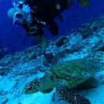 PADI Scuba Lesson and Shore Dive in Maui - The Briefing and Pool Lessons