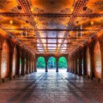 Pedicab 1 Hour Central Park Tour - Who Should Consider This Tour?