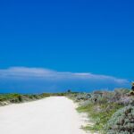Private Buggy Tour and Punta Sur Park: All-Inclusive - Practical Details and Value