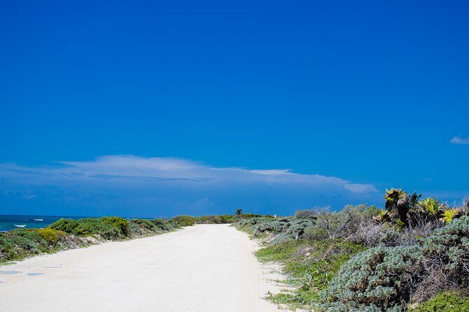 Private Buggy Tour and Punta Sur Park: All-Inclusive - Practical Details and Value