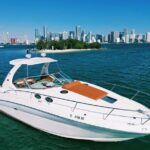 Private Captained Boat Tour in Miami for up to 12 Passengers - Why Our Reviewers Love This Tour